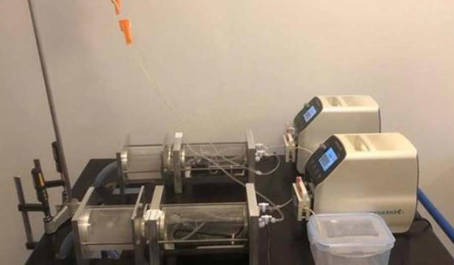 Øjemodel kan forbedre transplantation af hornhinder